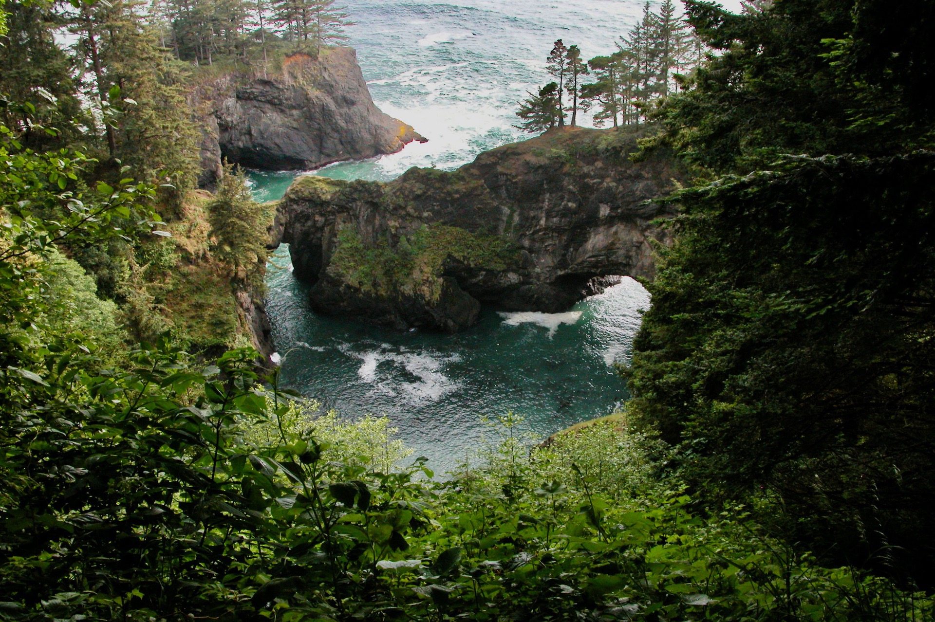 Natural Bridges Viewpoint – Roadside Oregon