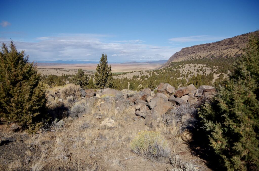 Roadside Oregon – Oregon nature, near your vehicle.